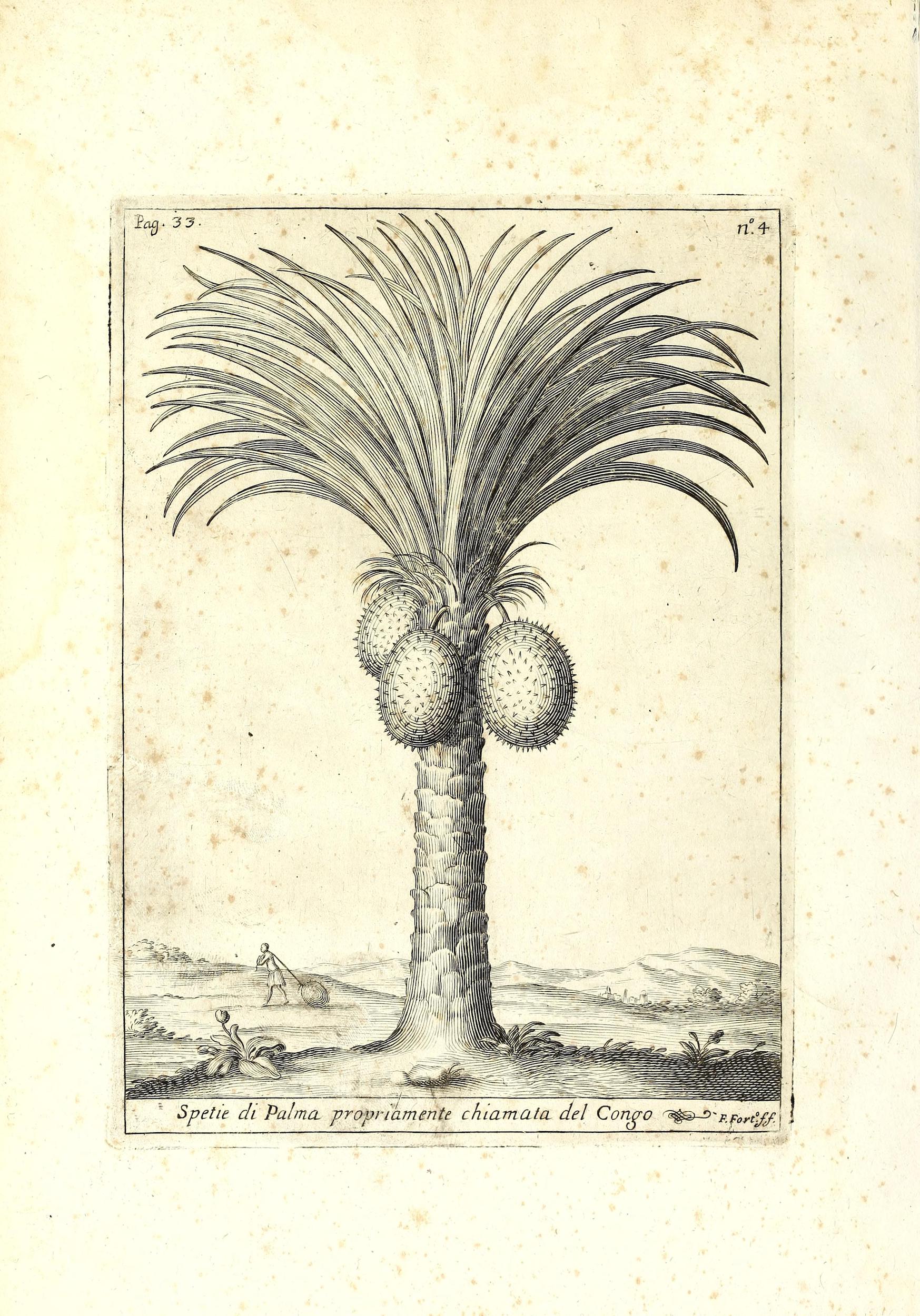 Giovanni Antonio Cavazzi and Fortunato Alamandini, Istorica descrizione ...