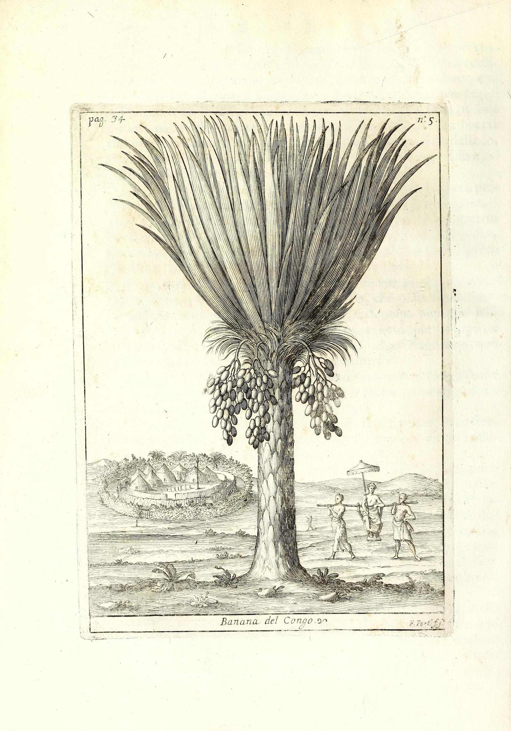 Giovanni Antonio Cavazzi and Fortunato Alamandini, Istorica descrizione ...