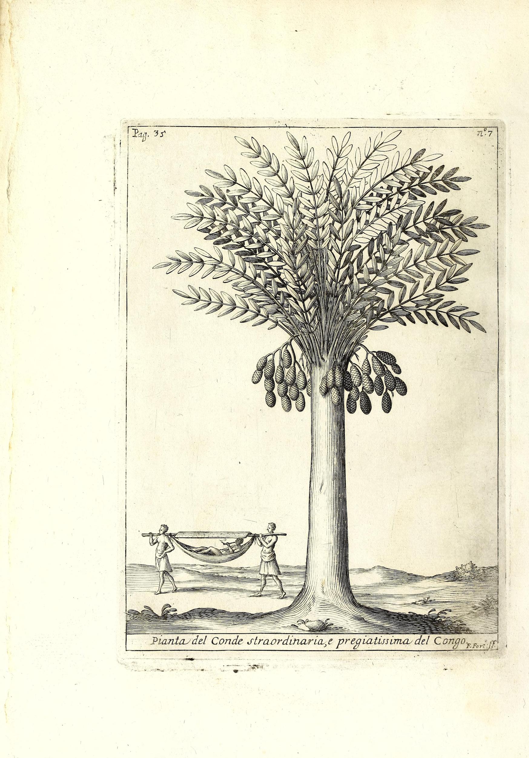 Giovanni Antonio Cavazzi and Fortunato Alamandini, Istorica descrizione ...