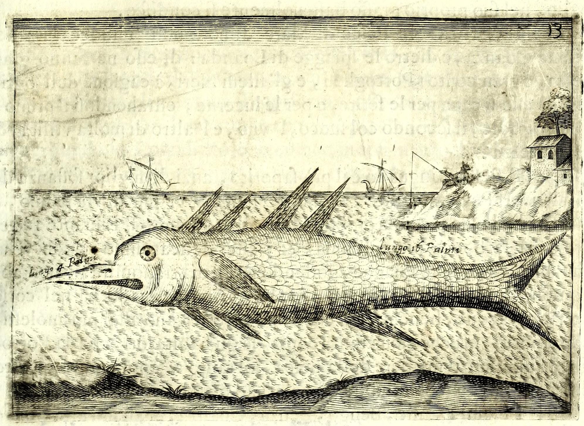 Giovanni Antonio Cavazzi and Fortunato Alamandini, Istorica descrizione ...